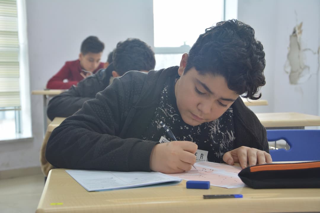 Які є види речень в українській мові Buki School